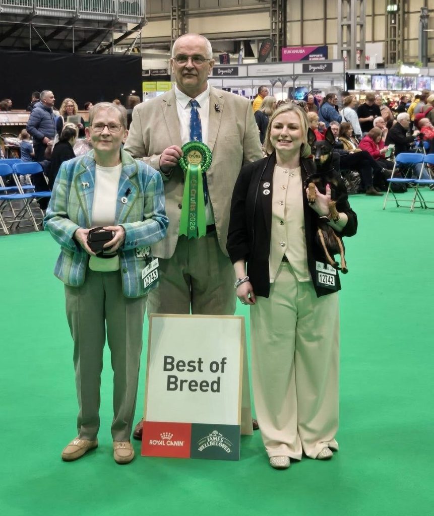 Crufts 2026 - THE ENGLISH TOY TERRIER (BLACK & TAN) CLUB